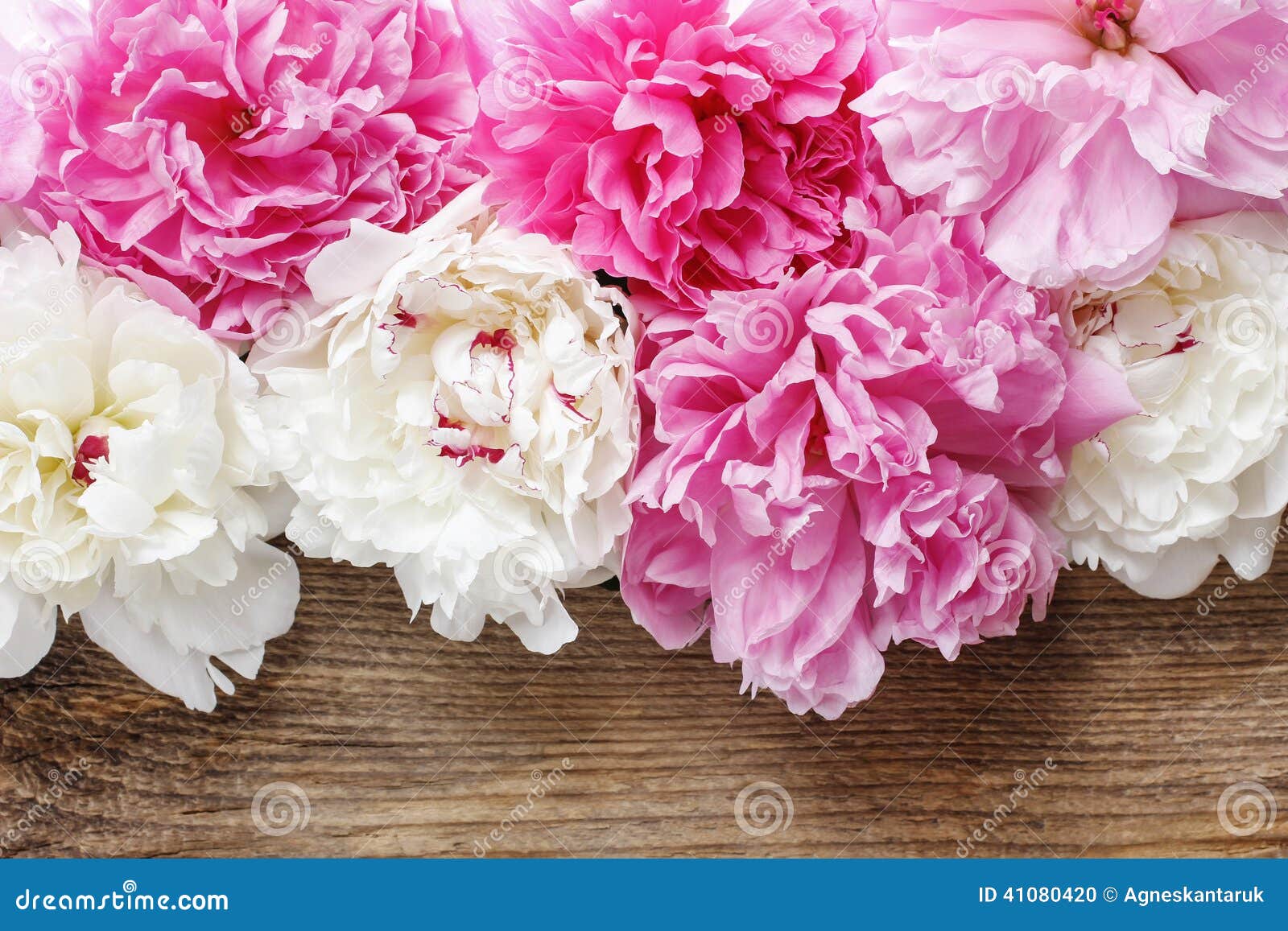Peonie Rosa Sbalorditive, Garofani Gialli E Rose Fotografia Stock ...