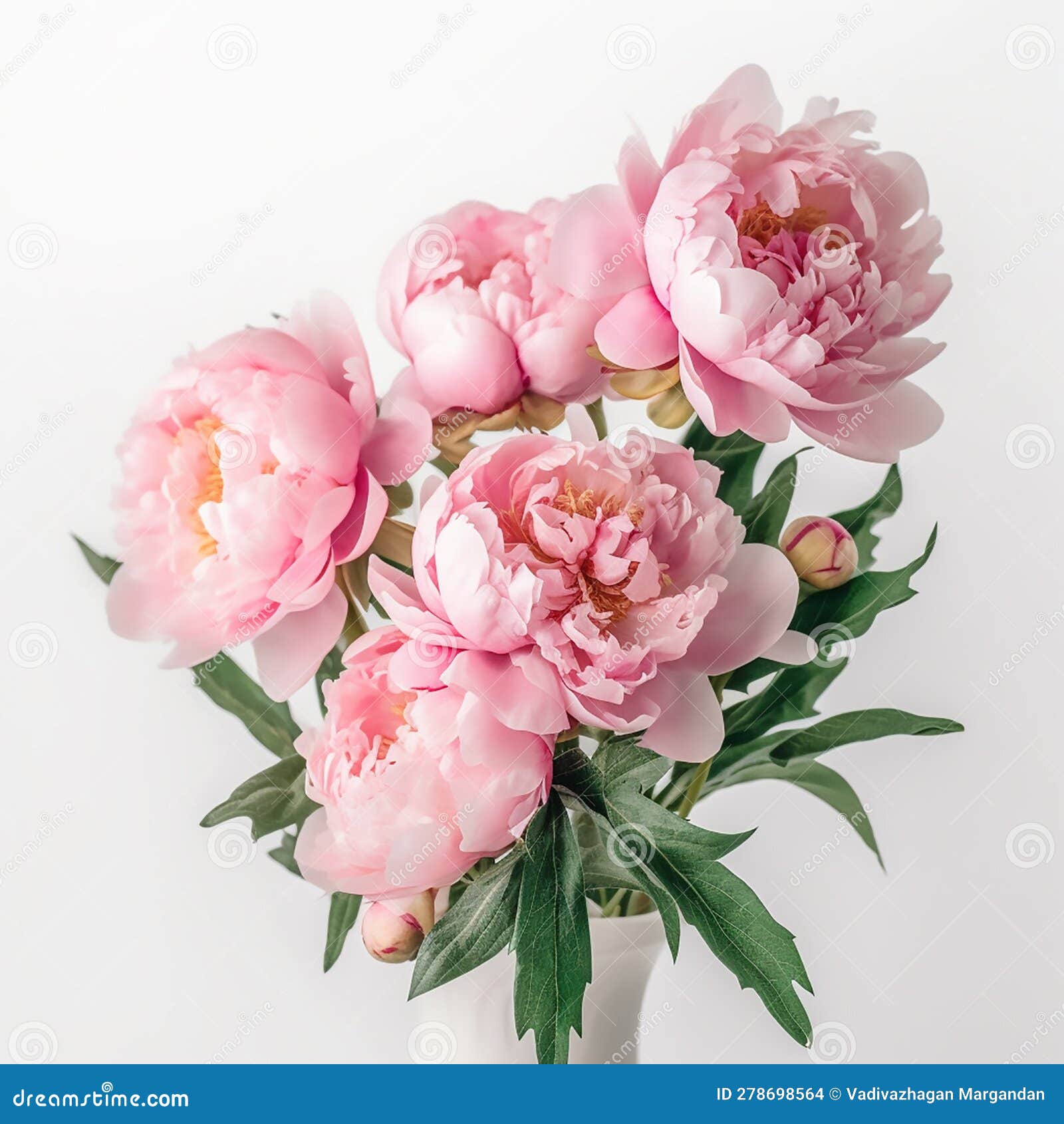 Peonies flowers background stock illustration. Illustration of copy ...