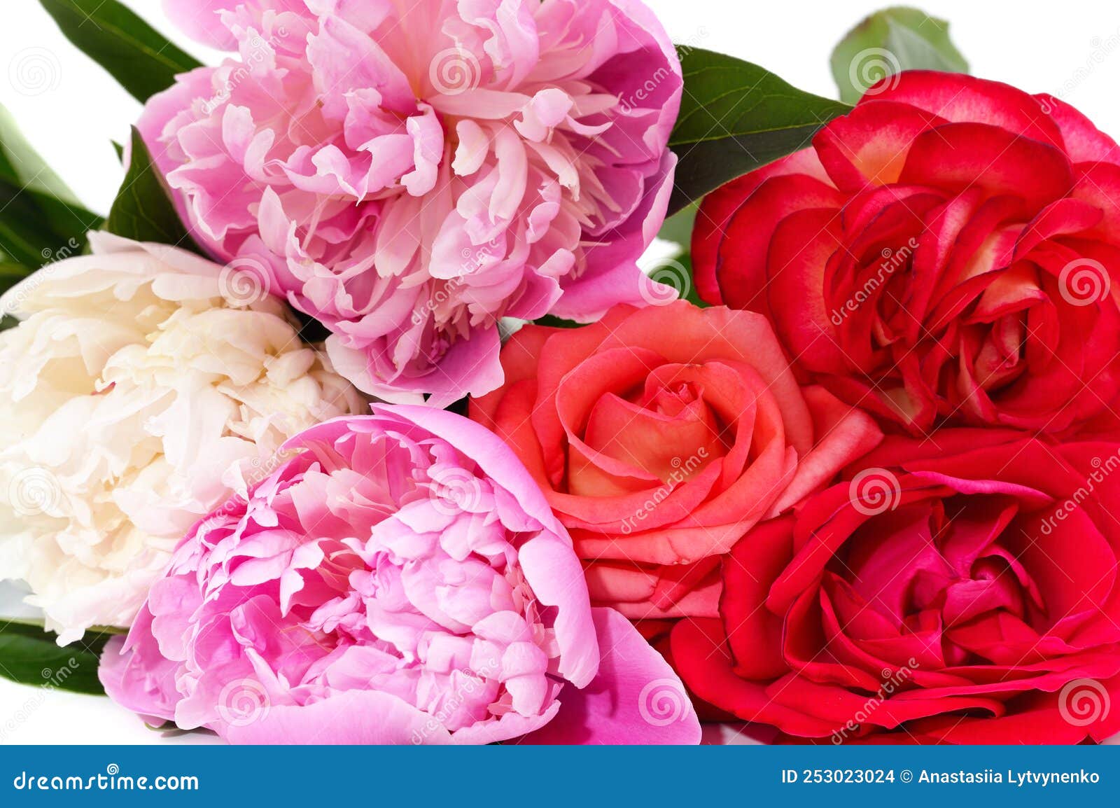 Peonies with Roses and Leaves Stock Photo - Image of purple, peonies ...