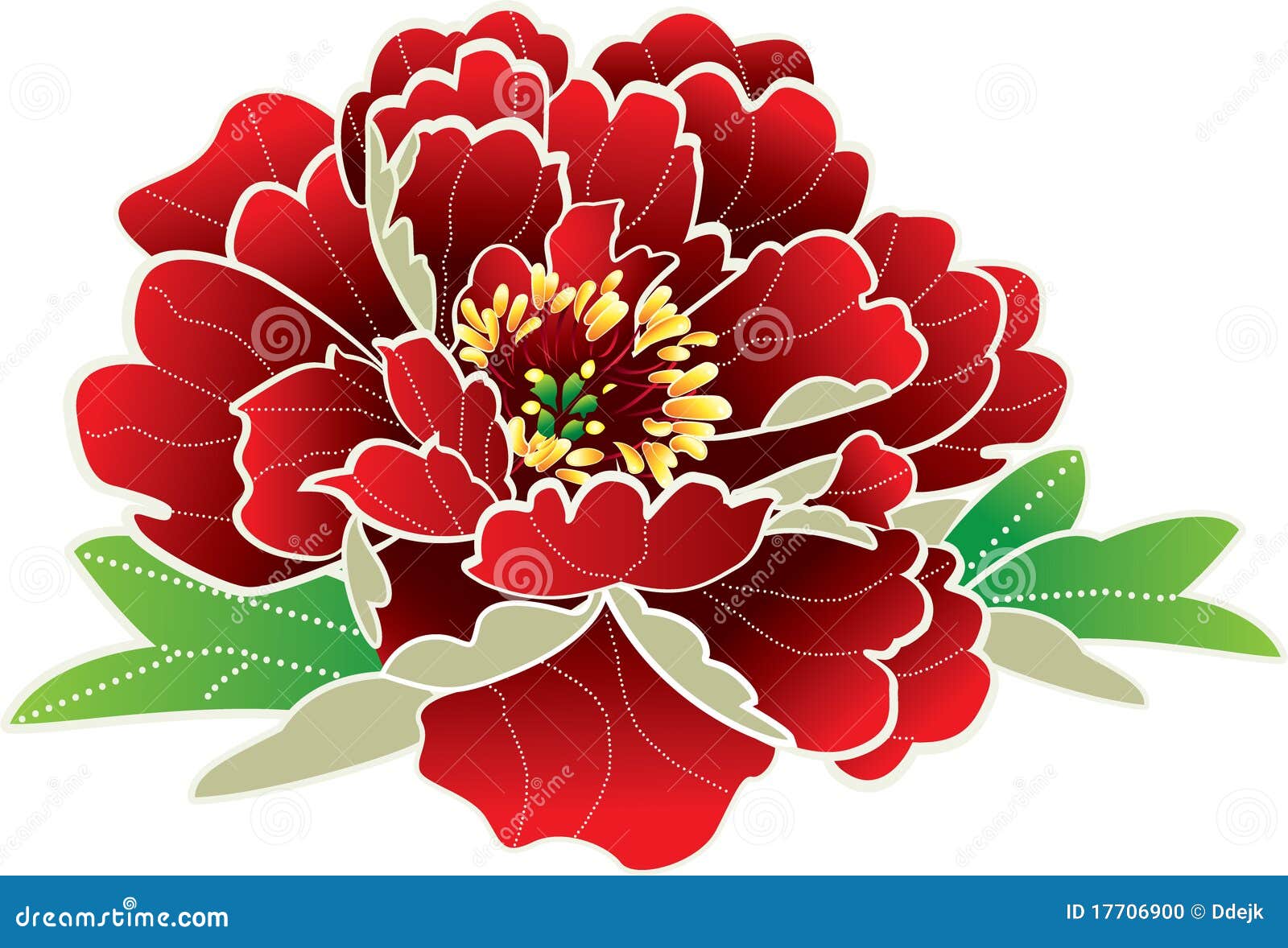 Peony stock vector. Illustration of plant, closeup, green - 17706900