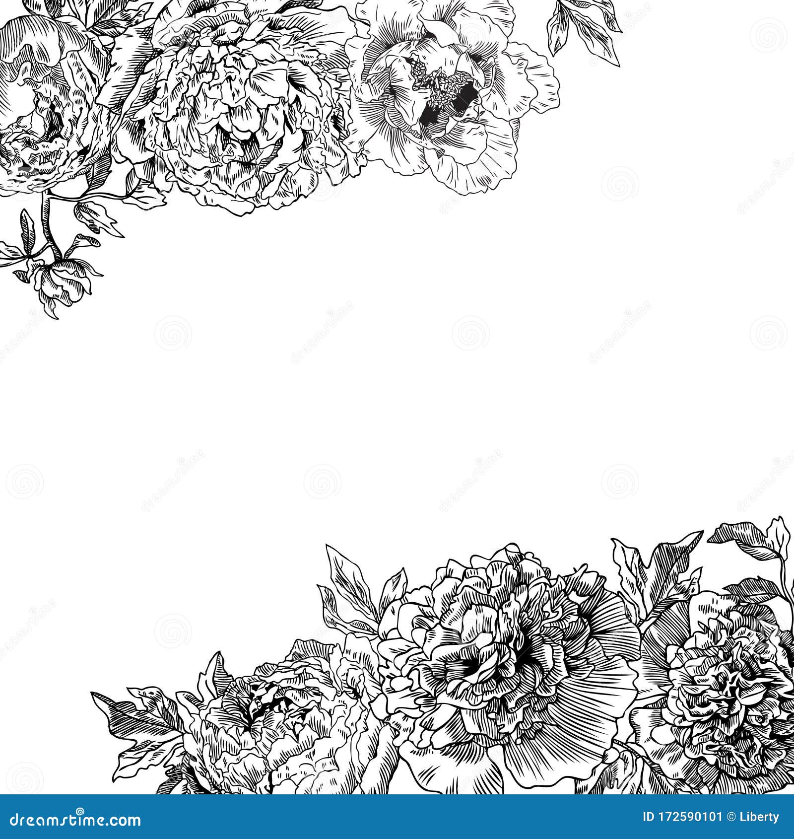 Peony floral corner stock vector. Illustration of sketch - 172590101
