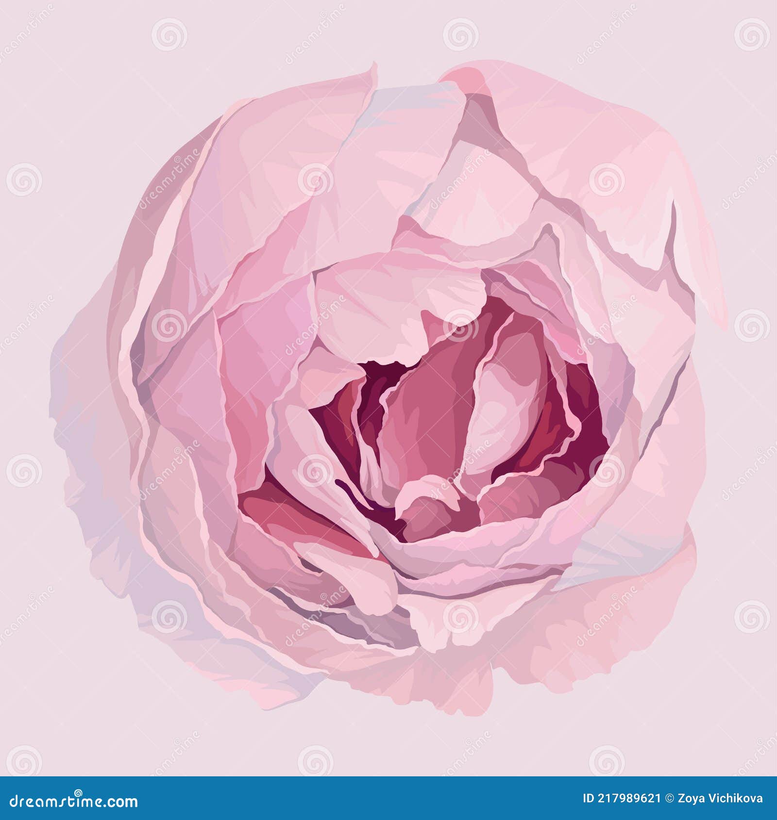 Peony.Vector Hand-drawn Illustration Stock Vector - Illustration of ...