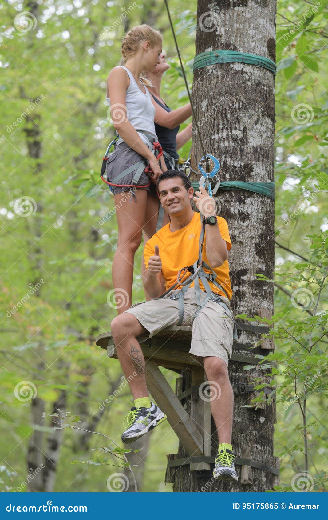 People on Adventure Course in Woods Stock Image - Image of equipment ...