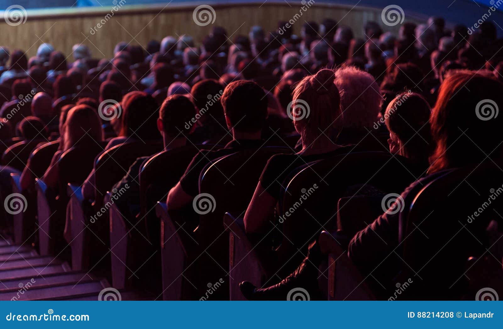 Audience Looking At Stage