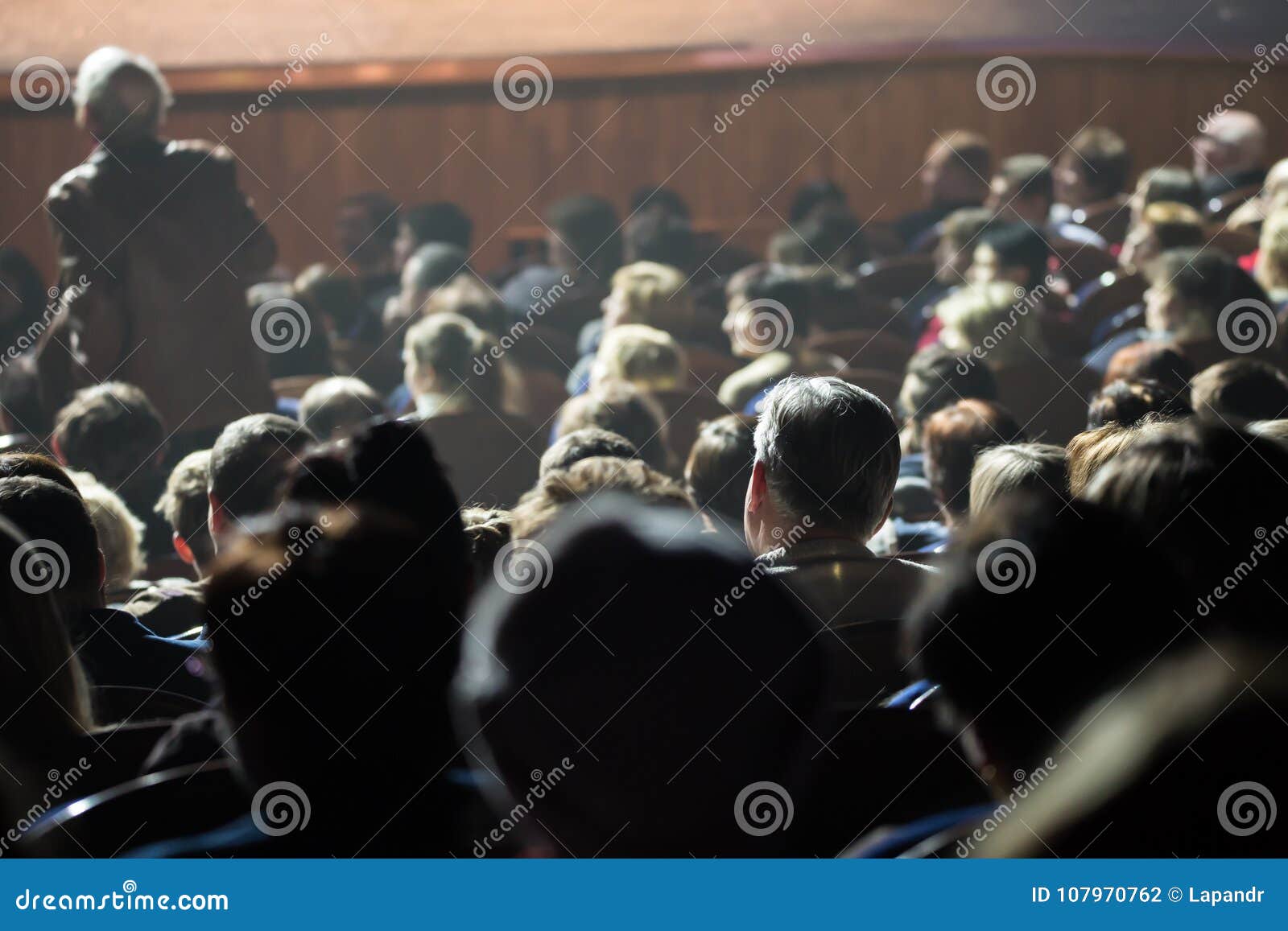 People in the Auditorium during the Performance. a Theatrical ...
