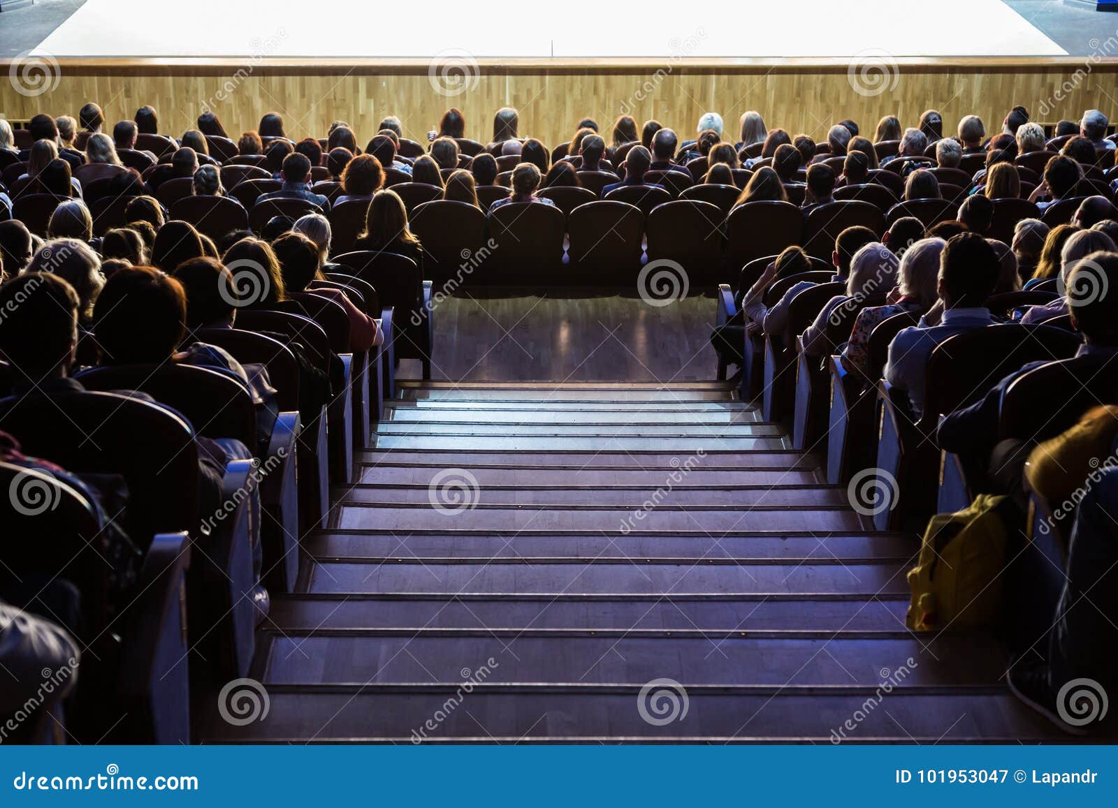 People in the Auditorium during the Performance. a Theatrical ...