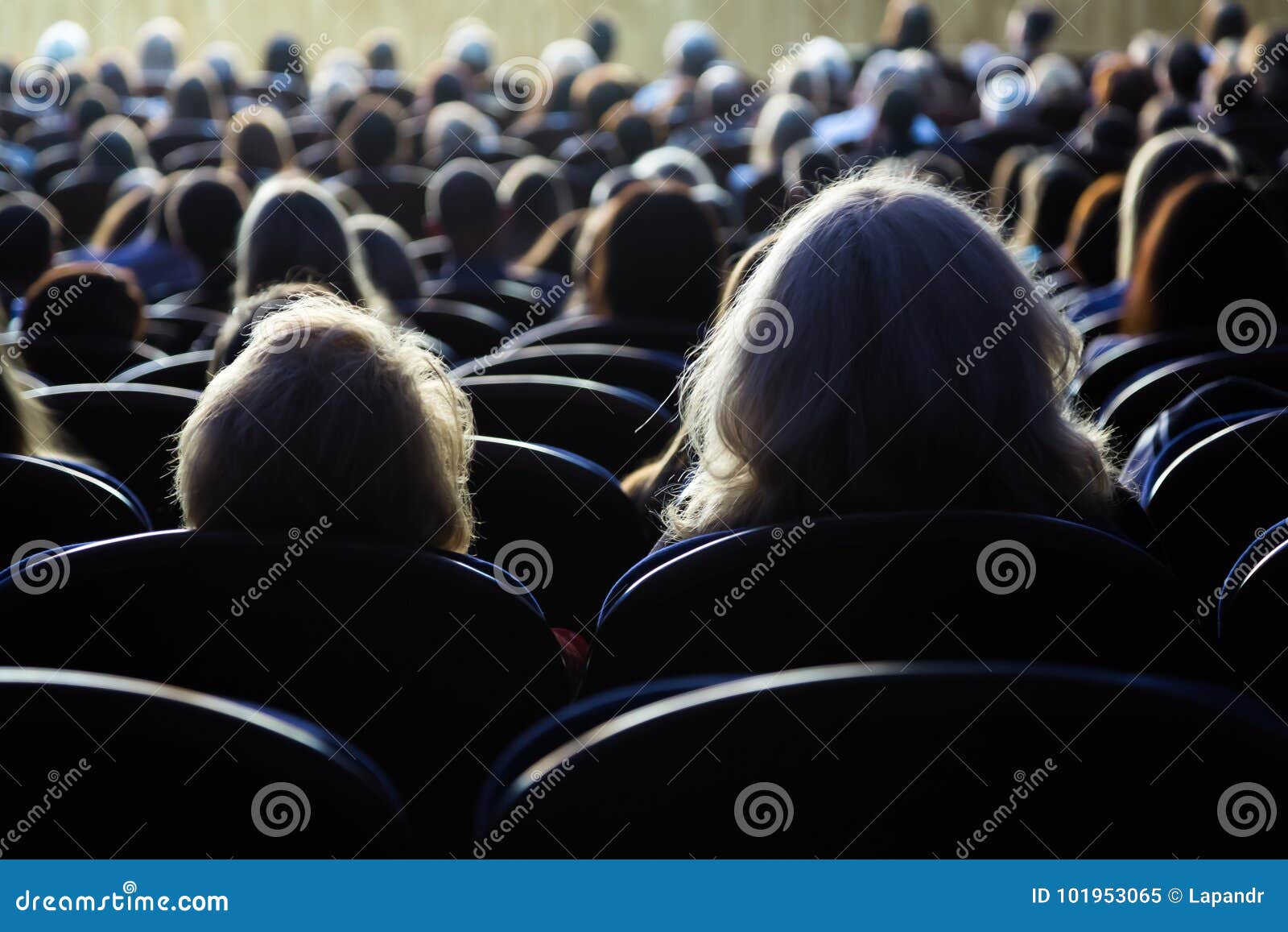 People in the Auditorium during the Performance. a Theatrical ...