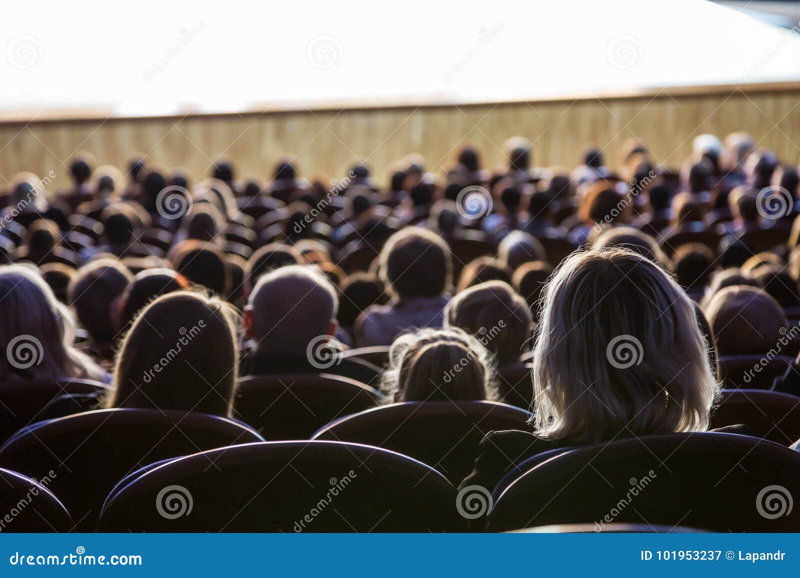 People in the Auditorium during the Performance. a Theatrical ...