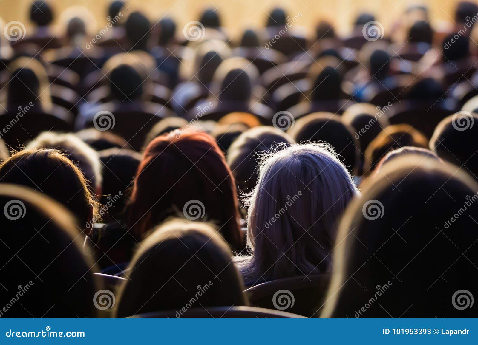 People in the Auditorium during the Performance. a Theatrical ...