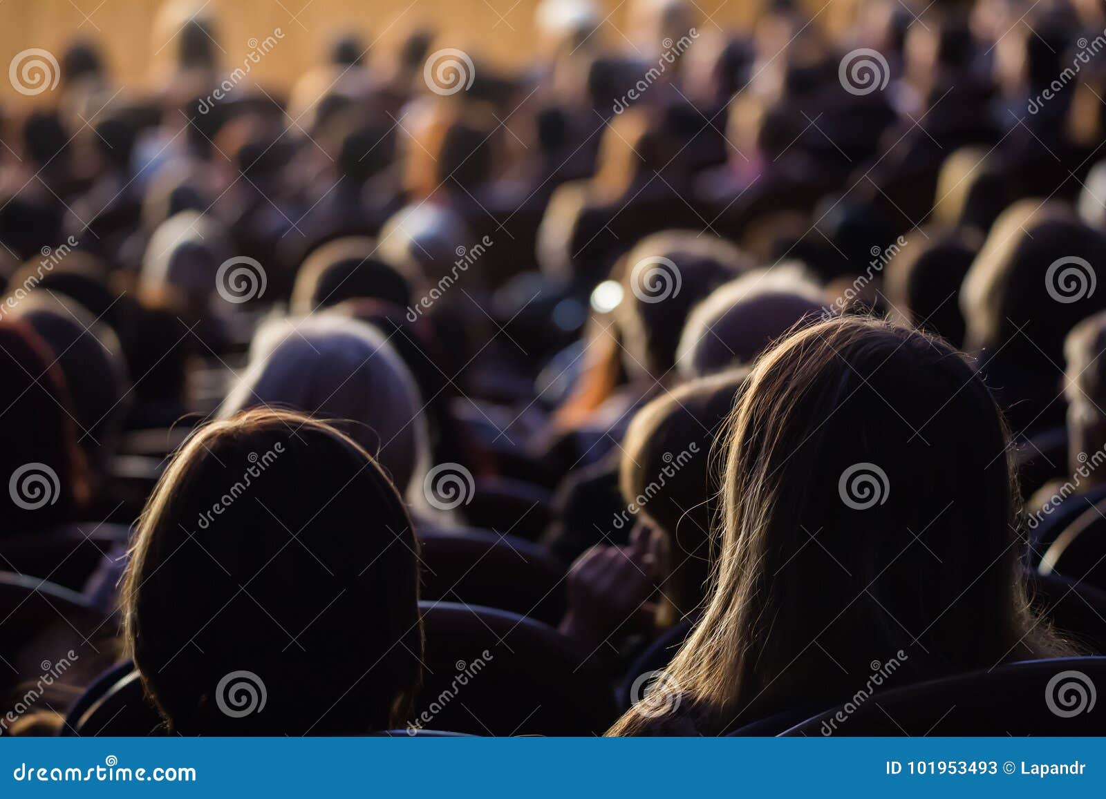 People in the Auditorium during the Performance. a Theatrical ...