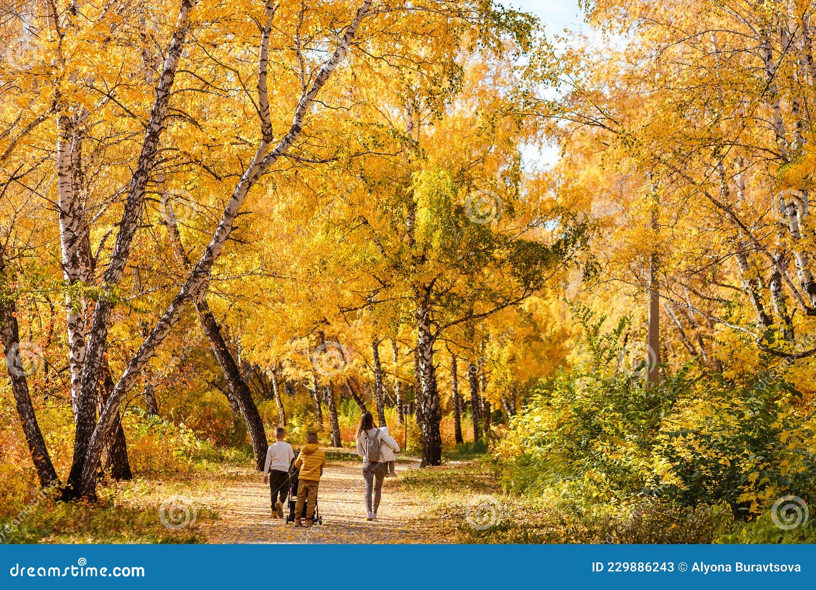 People in Autumn in the Autumn Park Stock Image - Image of forest ...