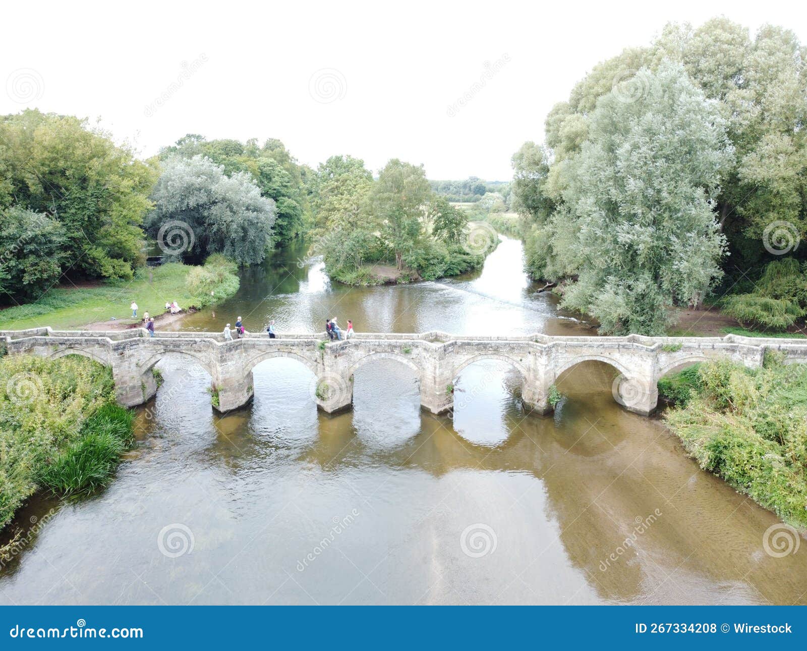 People on the Bridge Surrounded by Lush Green Vegetation. Stock Photo ...