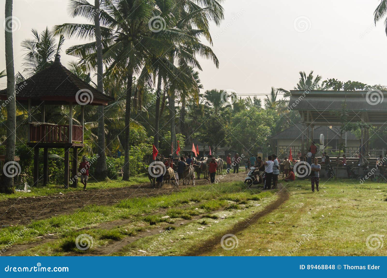 People at Bull Race in Bali Editorial Stock Photo - Image of ...