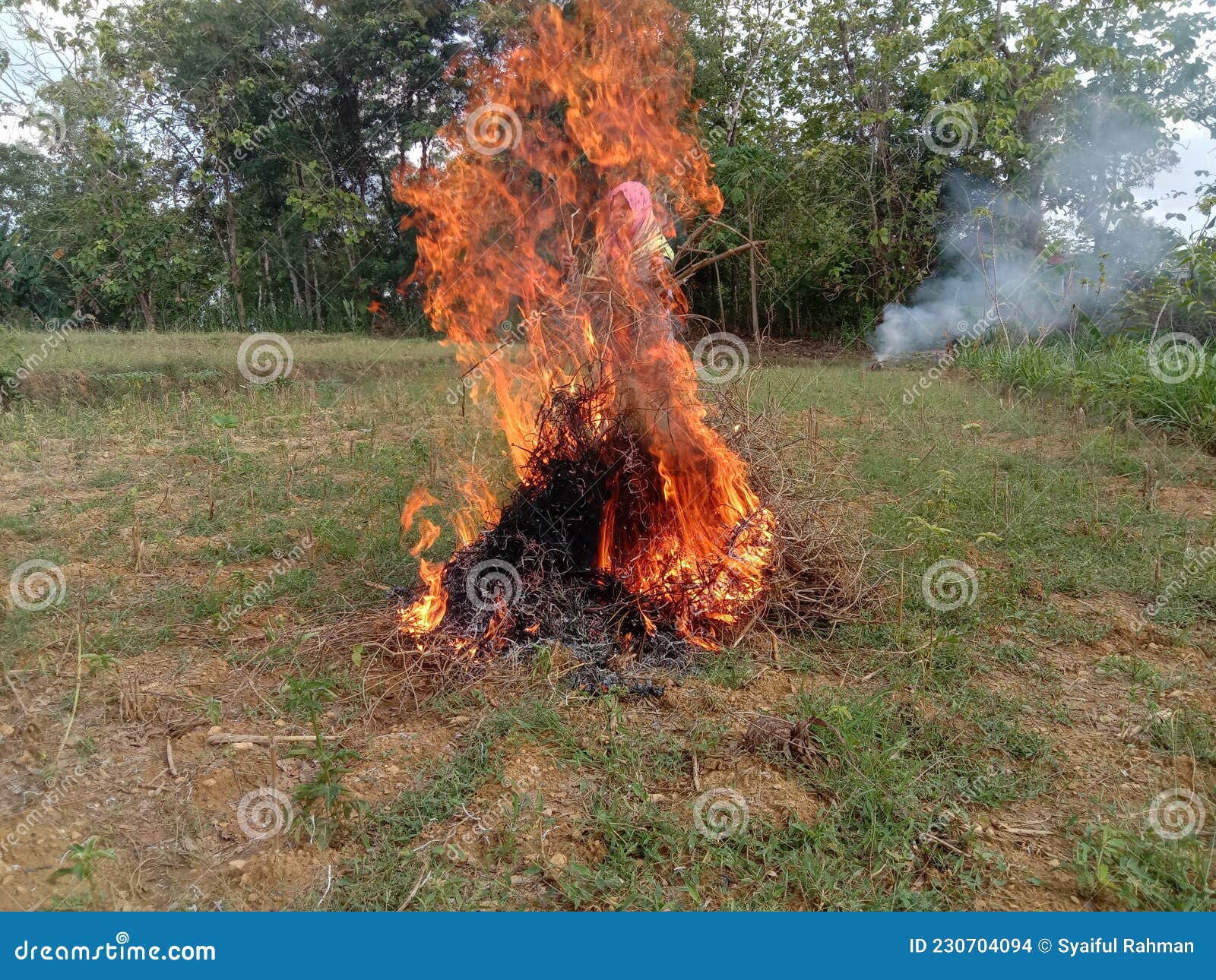 Burning Trash Stock Photography | CartoonDealer.com #2016482