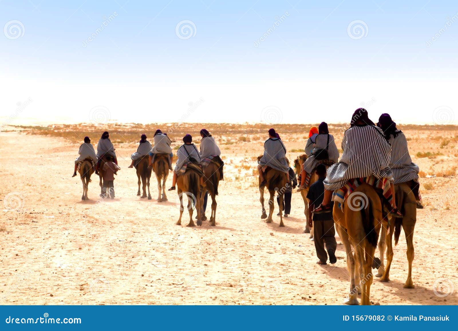 People with camels stock photo. Image of desert, africa - 15679082
