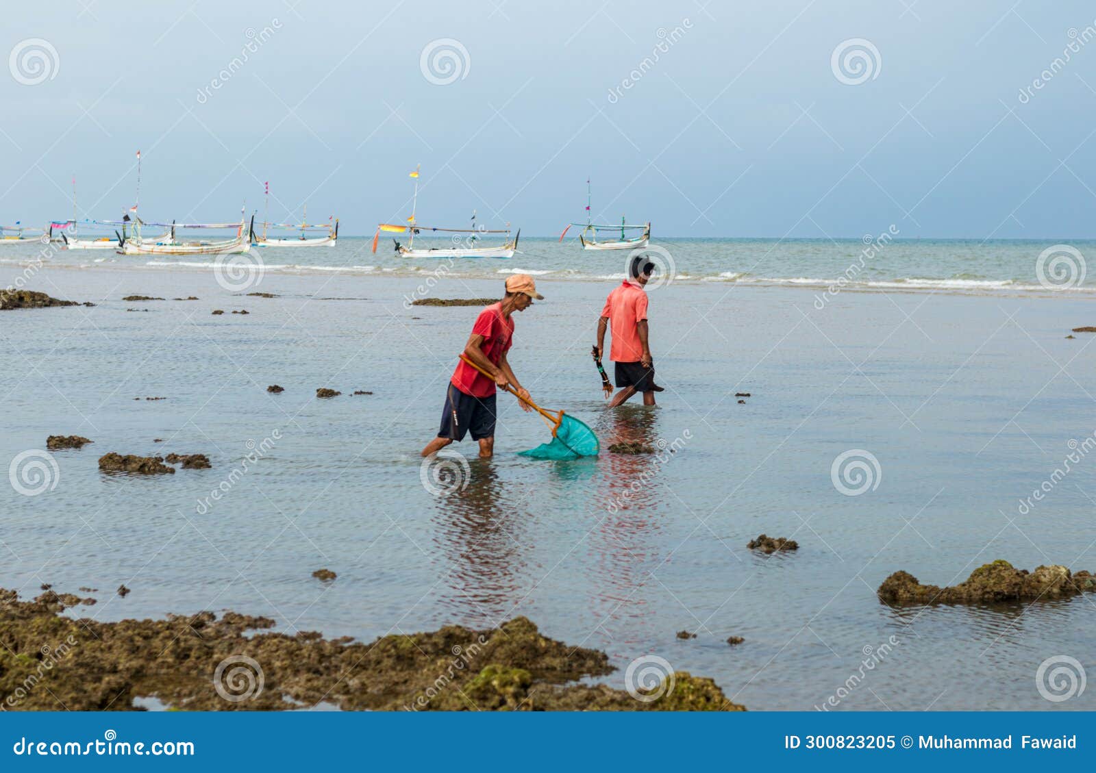 People Catch Fish Using Poison from the Roots of the Tuba Plant or ...