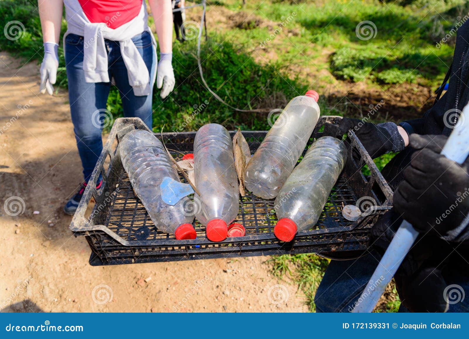 People Collaborating in the Cleaning of Plastic Garbage from the ...