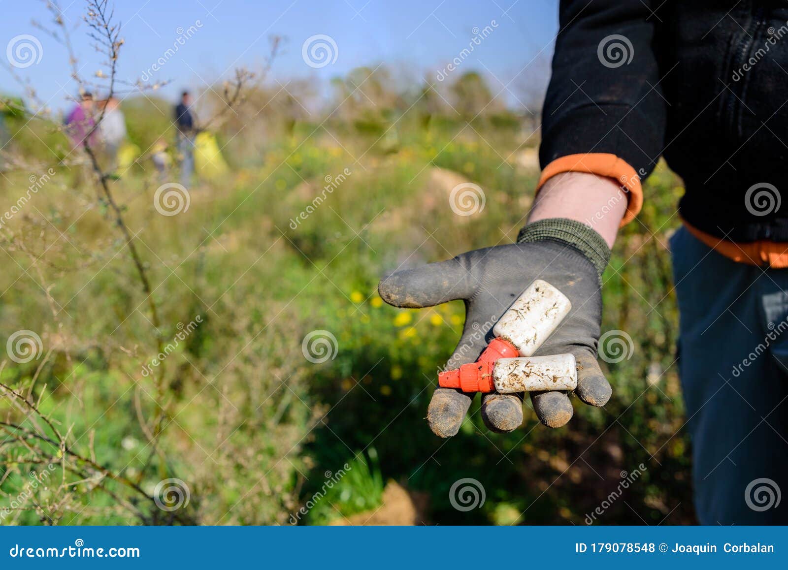 People Collaborating in the Cleaning of Plastic Garbage from the ...