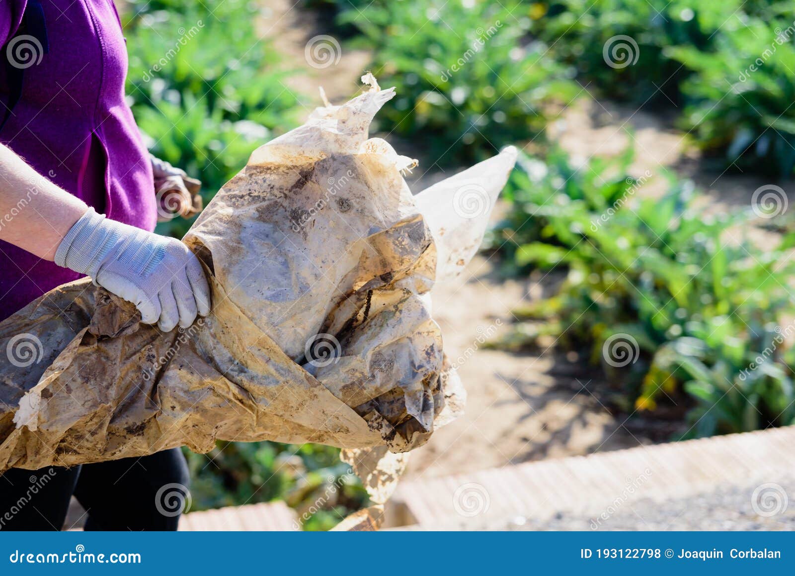 People Collect Garbage from Their Streets To Clean Their Fields of ...