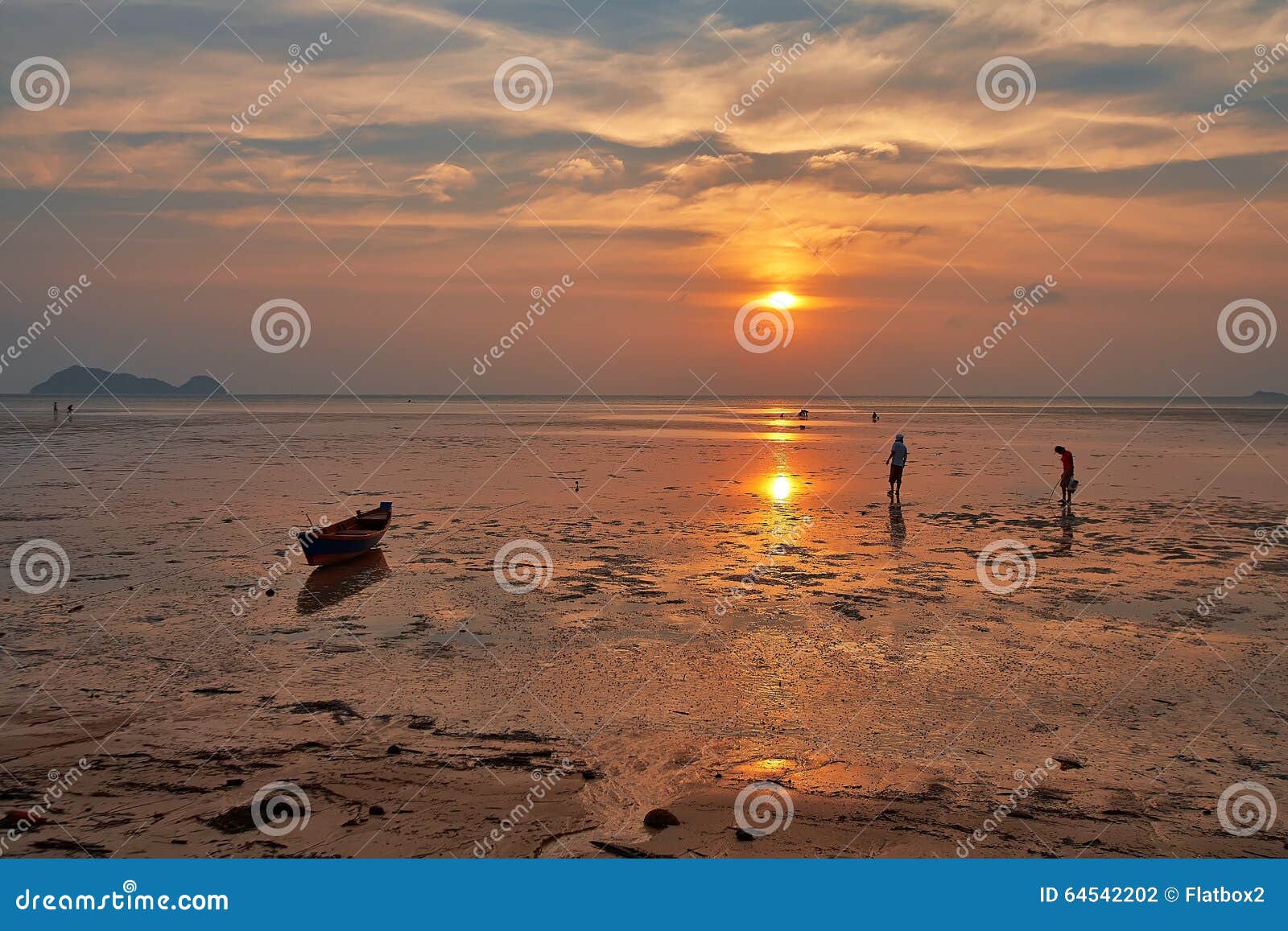 People Collect Shells after Ebb in the Ocean Stock Photo - Image of ...