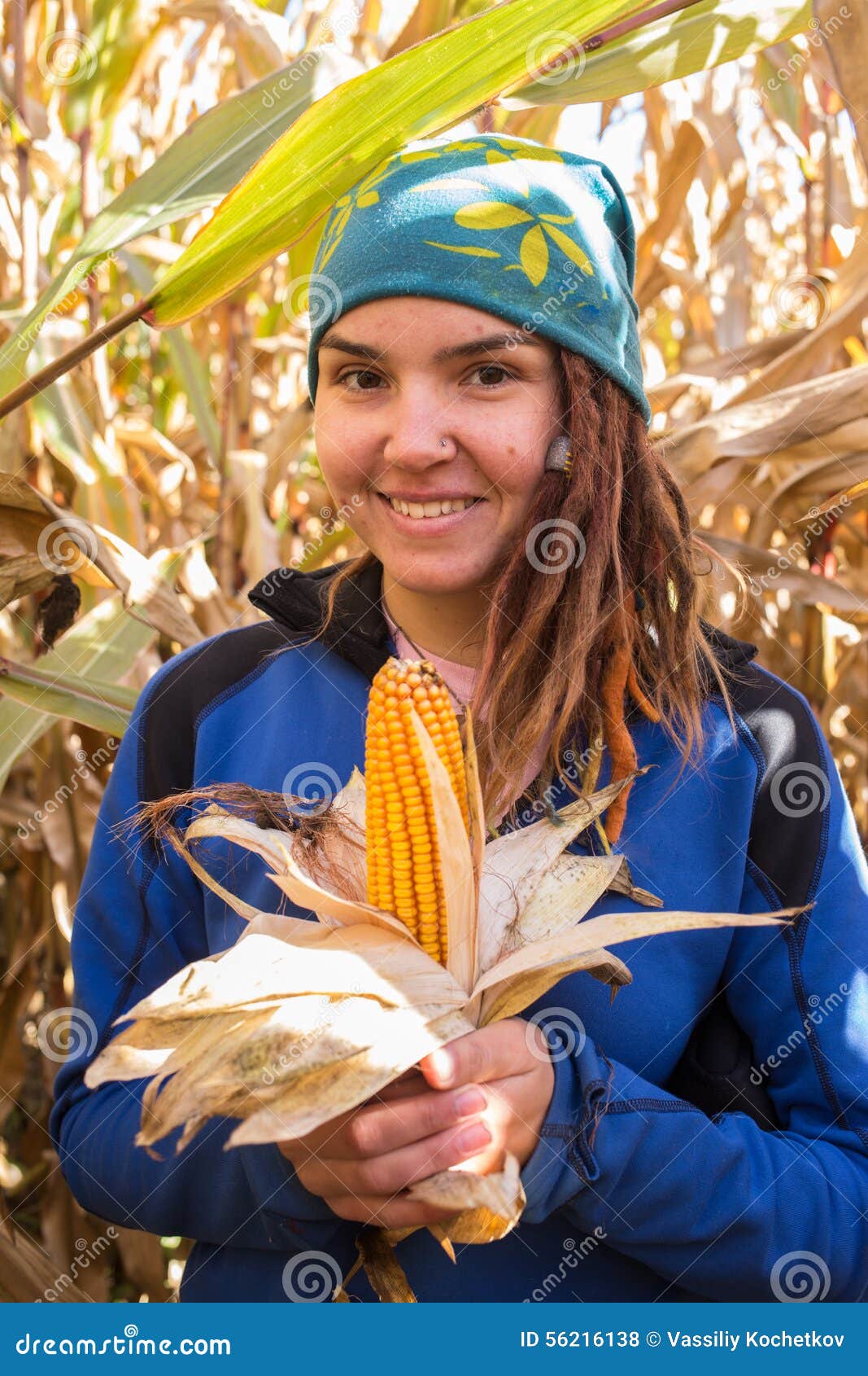 People in a cornfield stock photo. Image of healthy, caucasian - 56216138