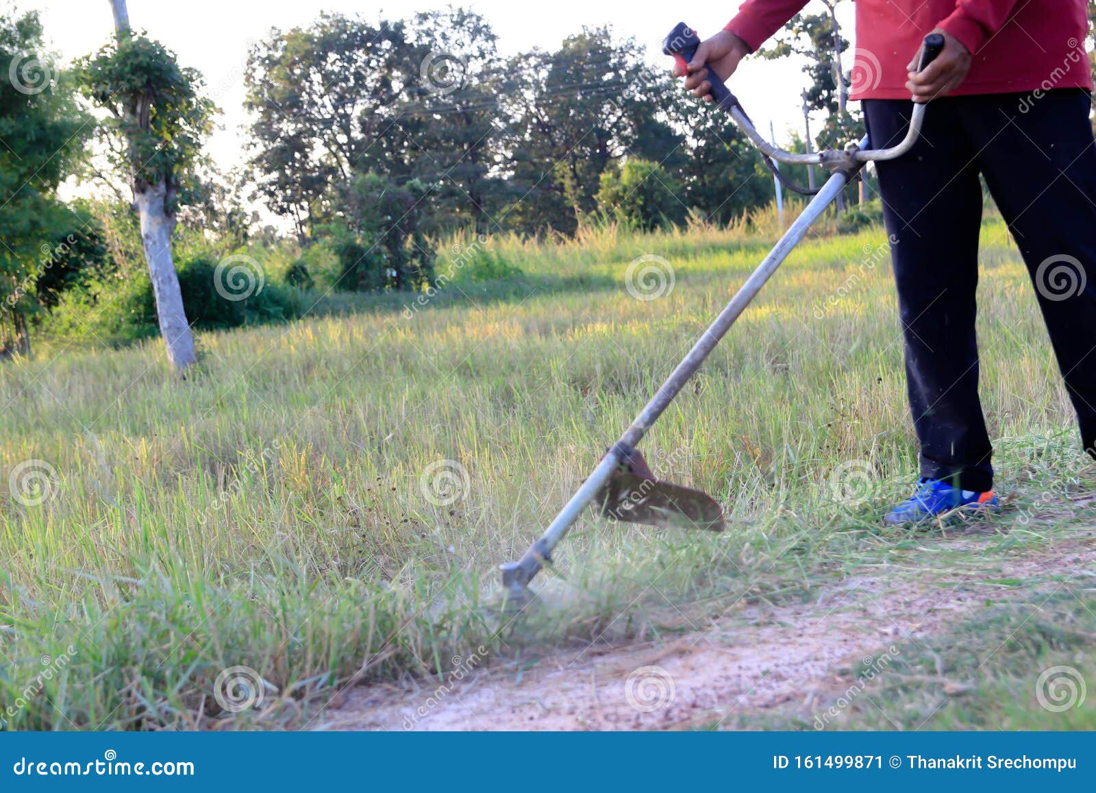 People cutting grass stock image. Image of green, deliver - 161499871