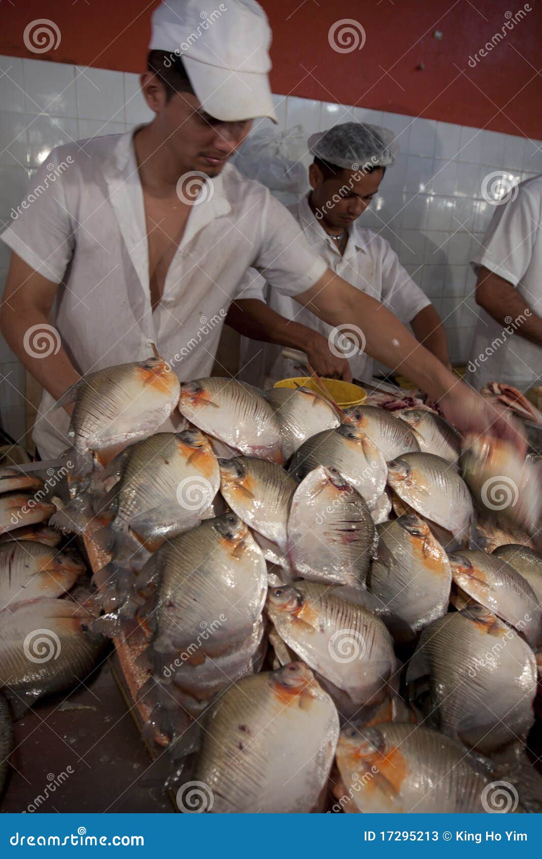 People Cutting River Fish in Amazon Editorial Stock Photo - Image of ...