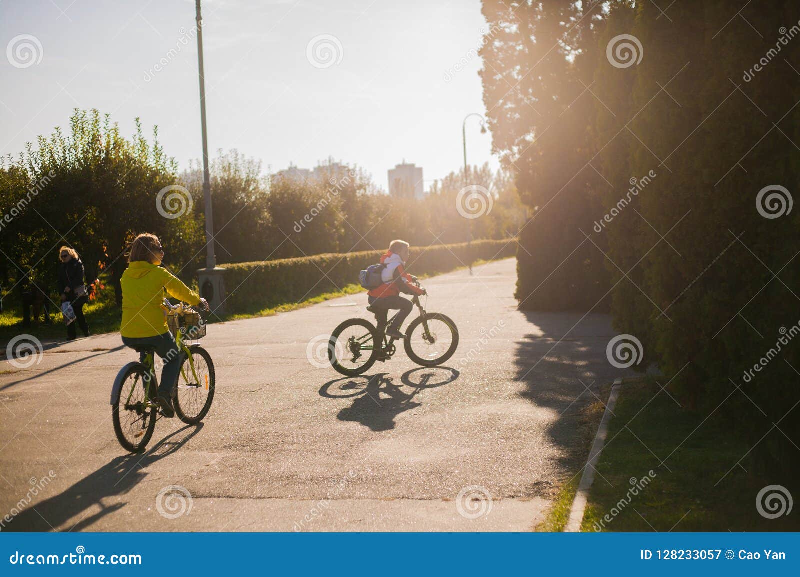 People Cycling in the Park at Sunset Editorial Photography - Image of ...