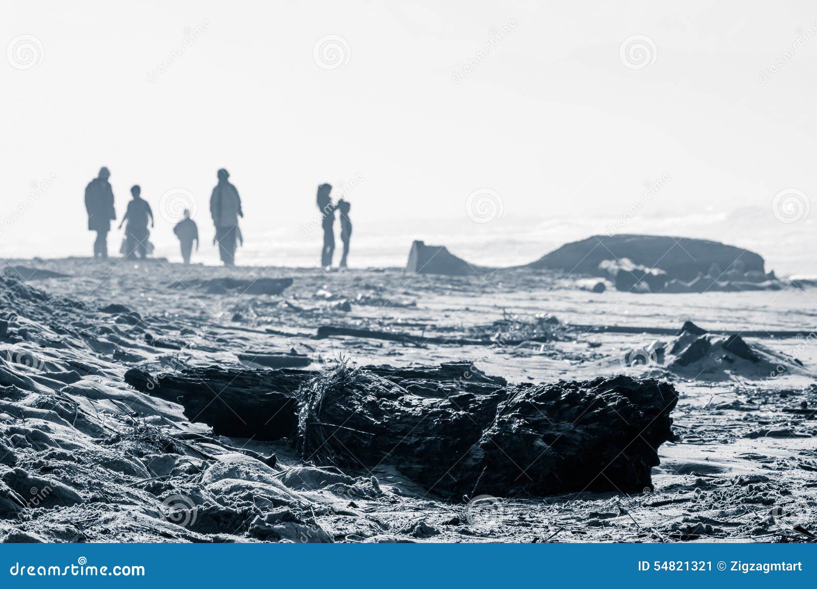 People on Desolate Windy Beach Stock Image - Image of wind, natural ...