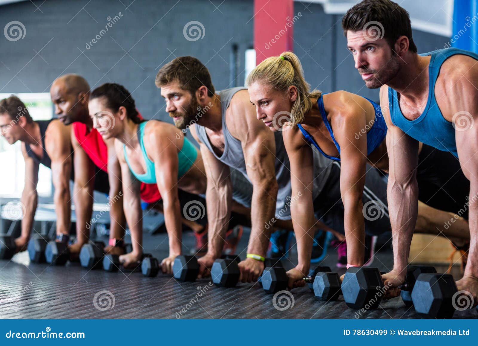 People Doing Push-ups with Dumbbell in Gym Stock Image - Image of ...