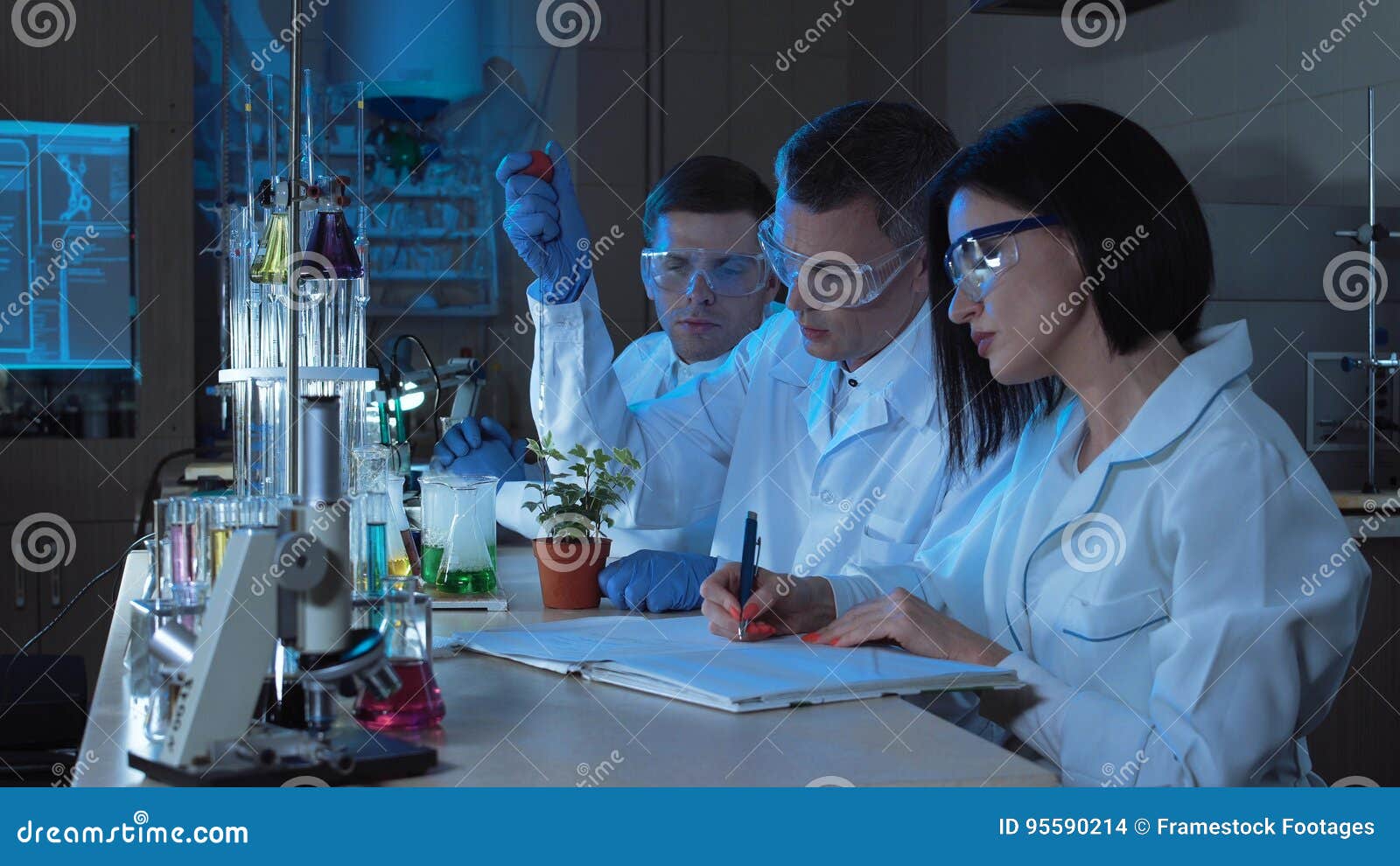 People Dripping Chemical in Plant Stock Photo - Image of chemistry ...
