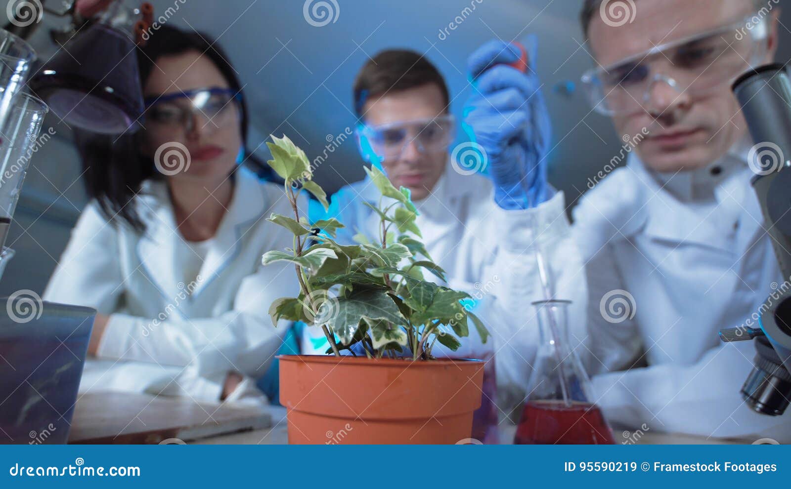 People Dripping Chemical in Plant Stock Image - Image of exploration ...
