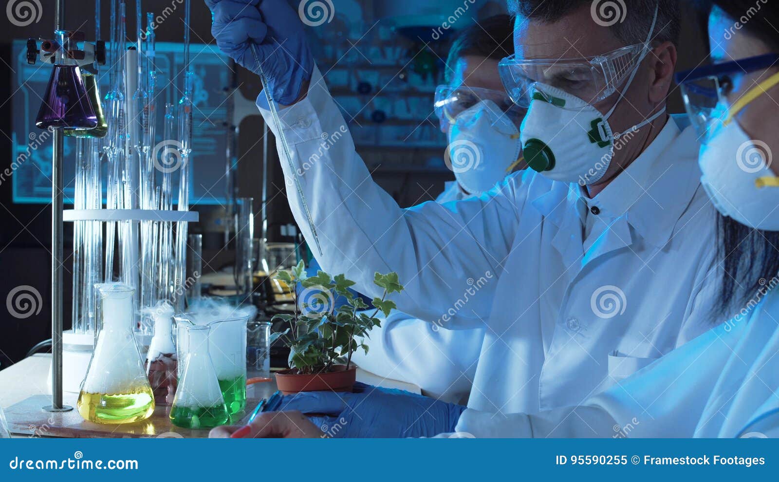 People Dripping Chemical in Plant Stock Image - Image of group ...
