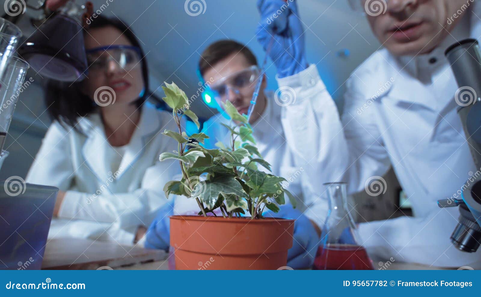 People Dripping Chemical in Plant Stock Footage - Video of glasses ...