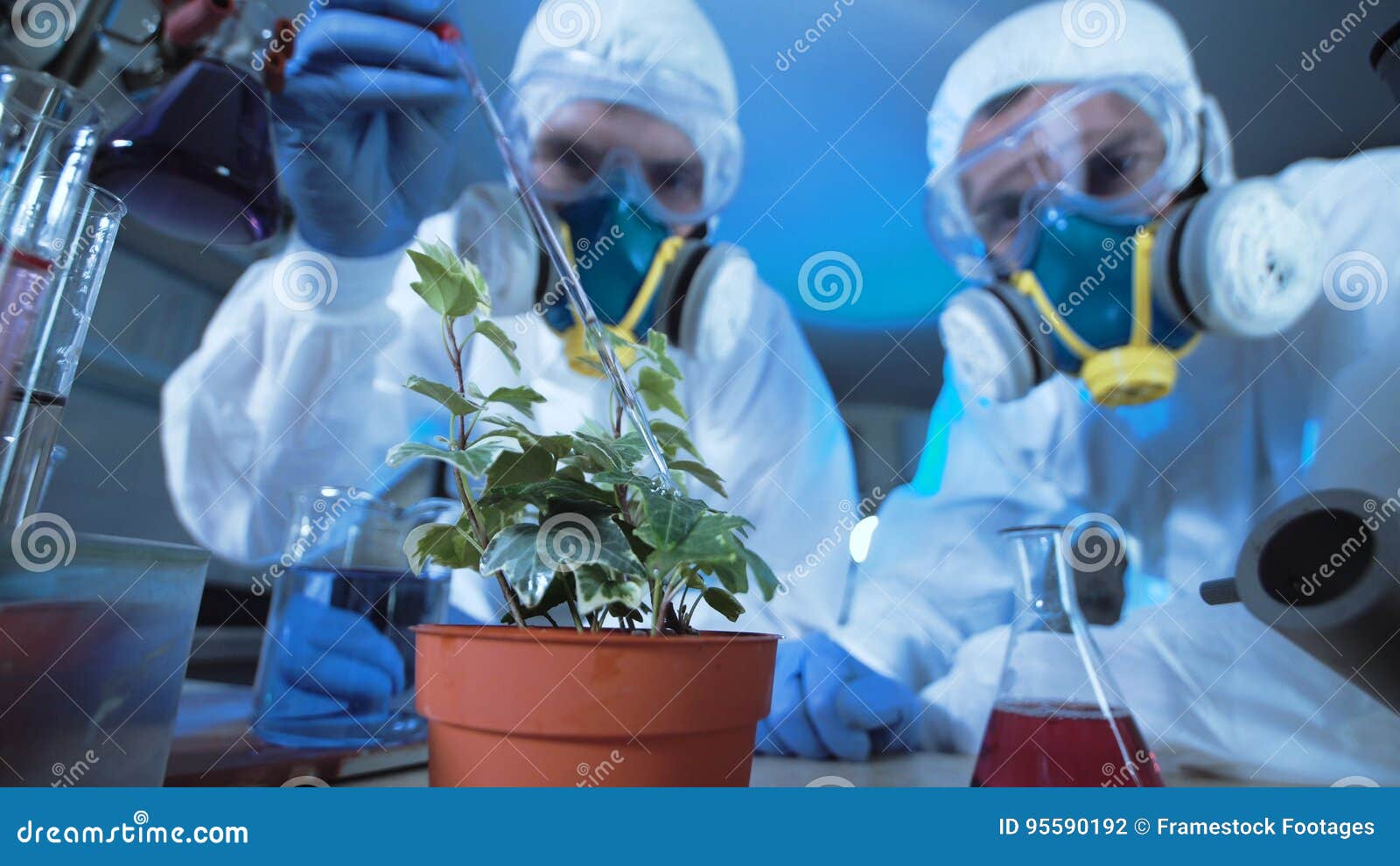 People Dripping Chemical in Plant Stock Photo - Image of investigation ...
