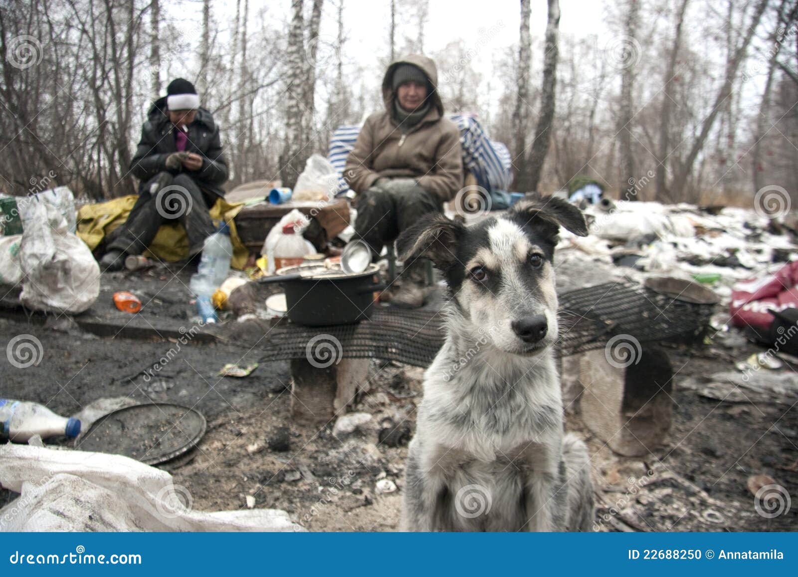 People on a dump editorial image. Image of russia, environment - 22688250