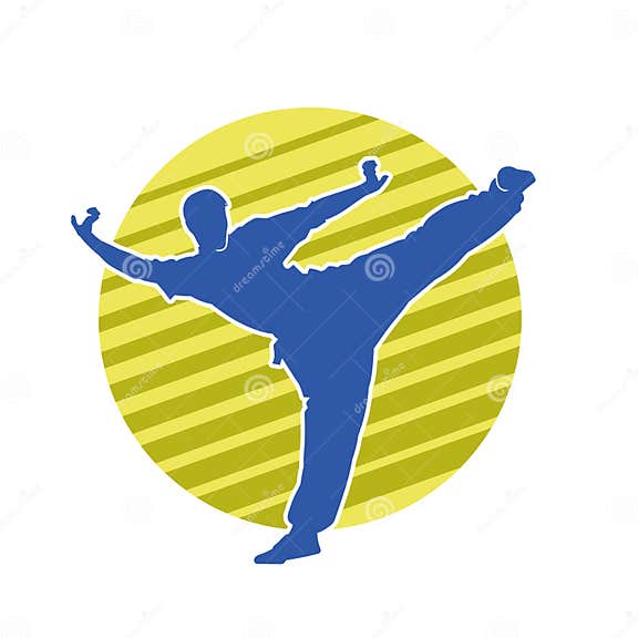 Silhouette of a Male Model Doing Martial Art Kick Pose. Silhouette of a ...