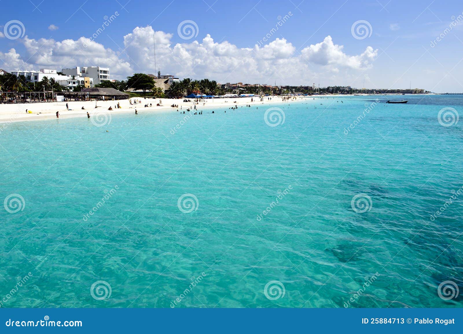 People Enjoying a Caribbean Beach Stock Image - Image of palm ...