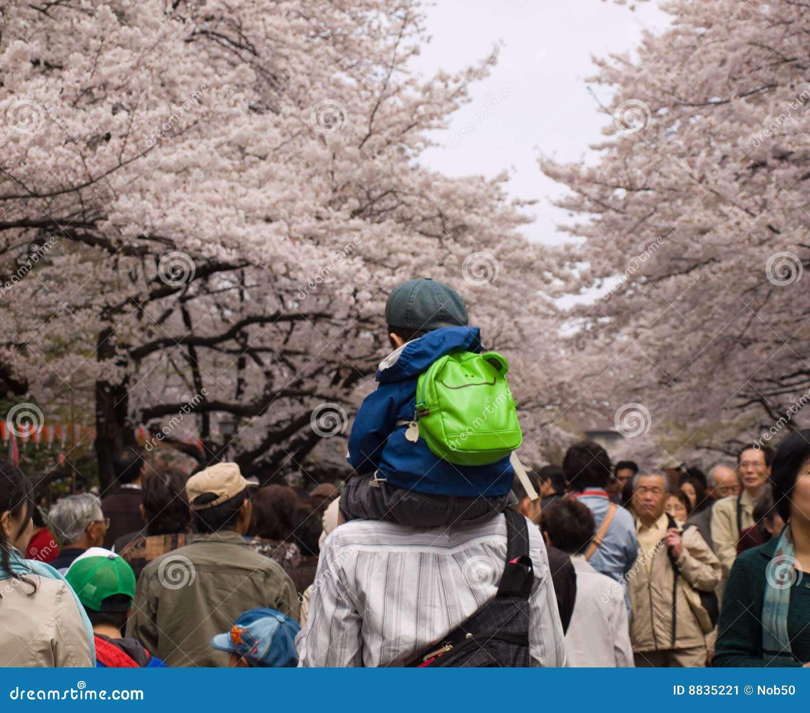 People Enjoying Cherry Blossoms in Japan Editorial Photo - Image of ...
