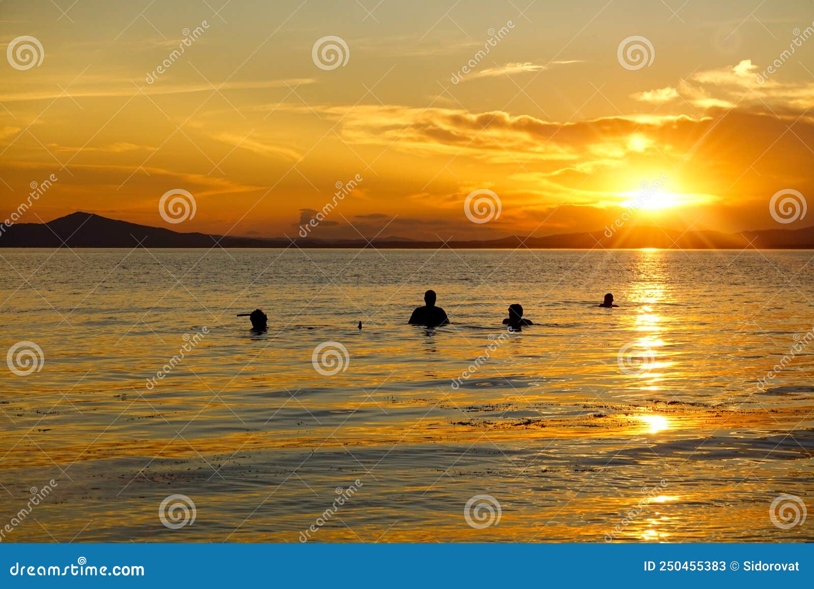 People Enjoying a Swim at Sunset Stock Image - Image of sunset ...