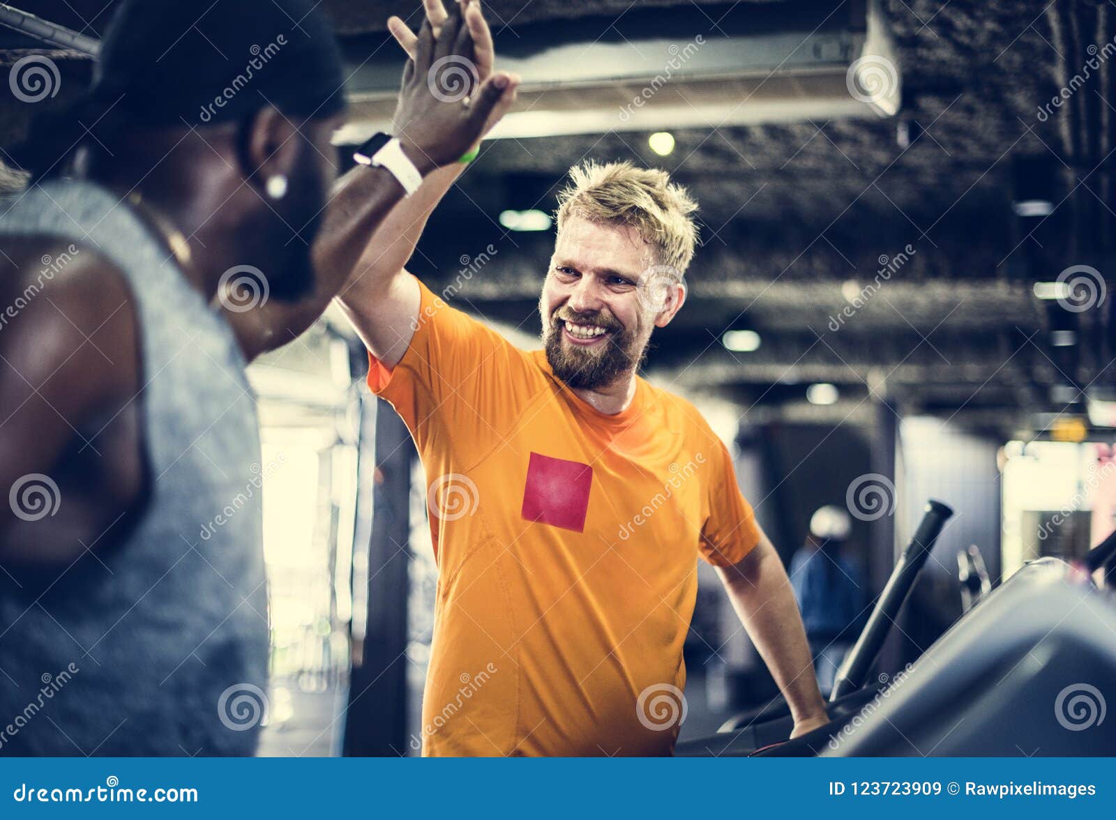 People Exercising at Fitness Gym Stock Image - Image of determination ...