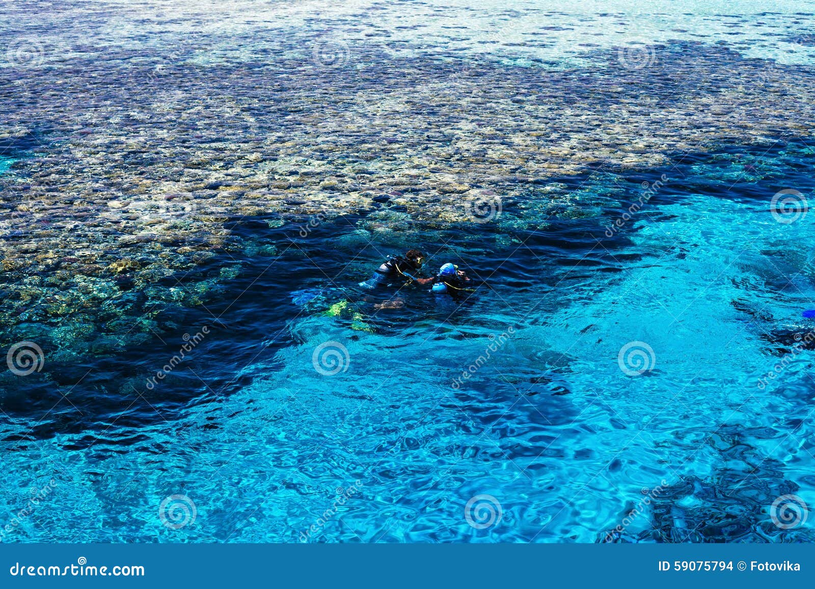 People float stock photo. Image of girl, action, corals - 59075794