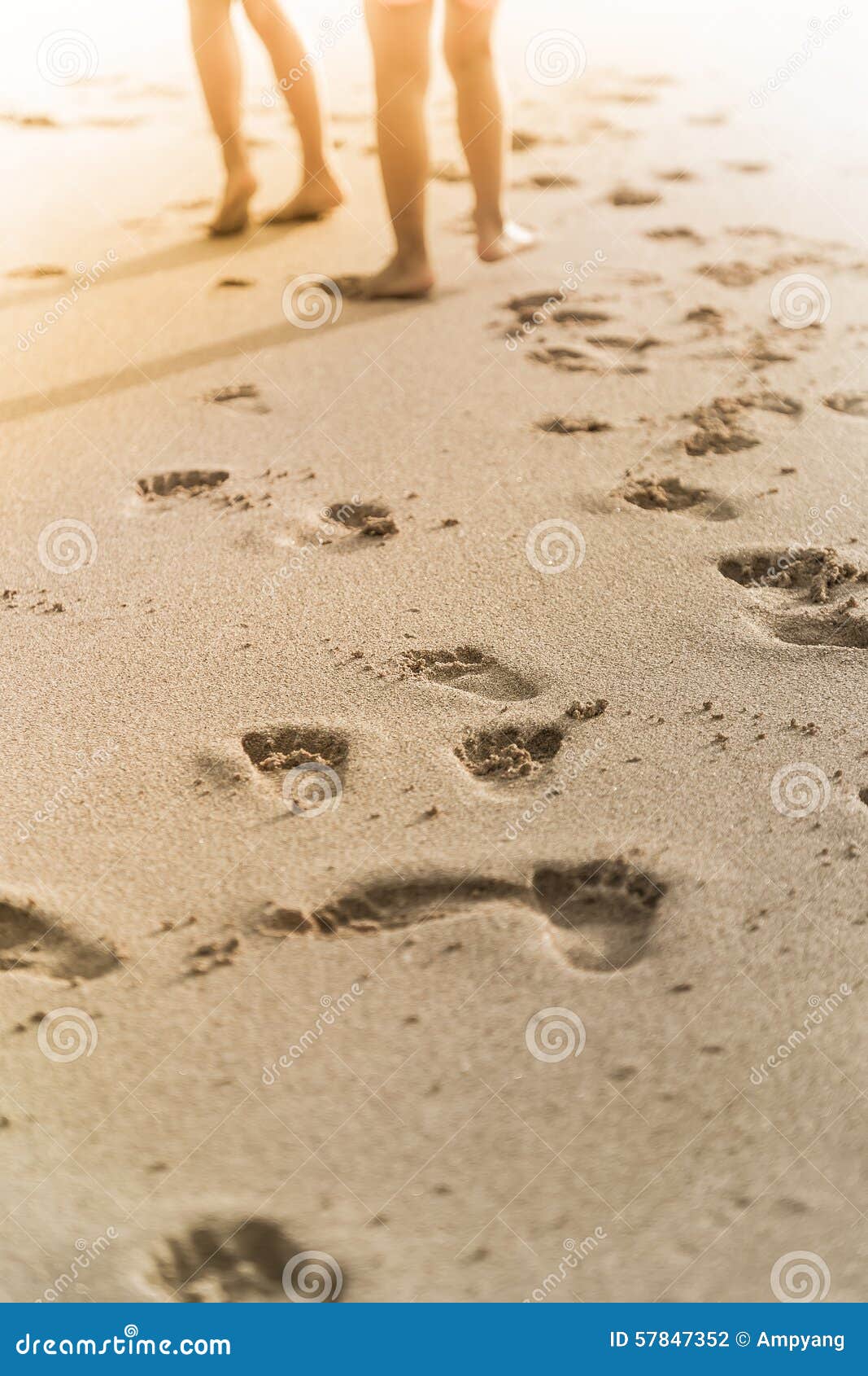 Walking Footprints In Sand