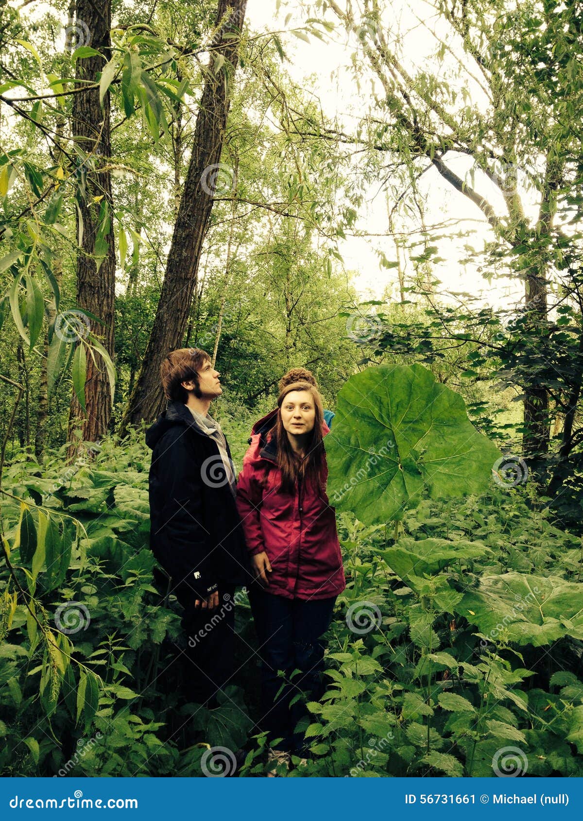 People in a forest editorial photo. Image of tree, path - 56731661