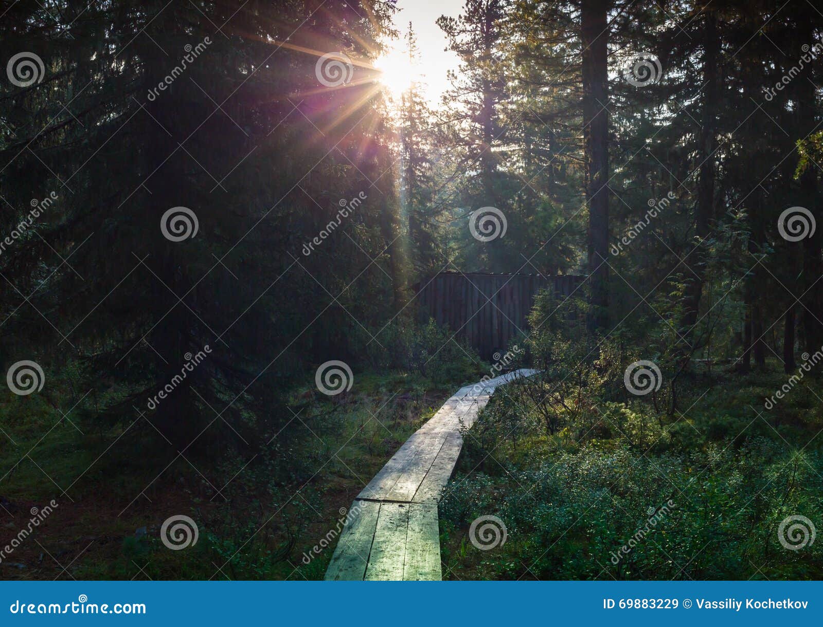 People Go To the Mountains, on a Good Path Stock Image - Image of ...