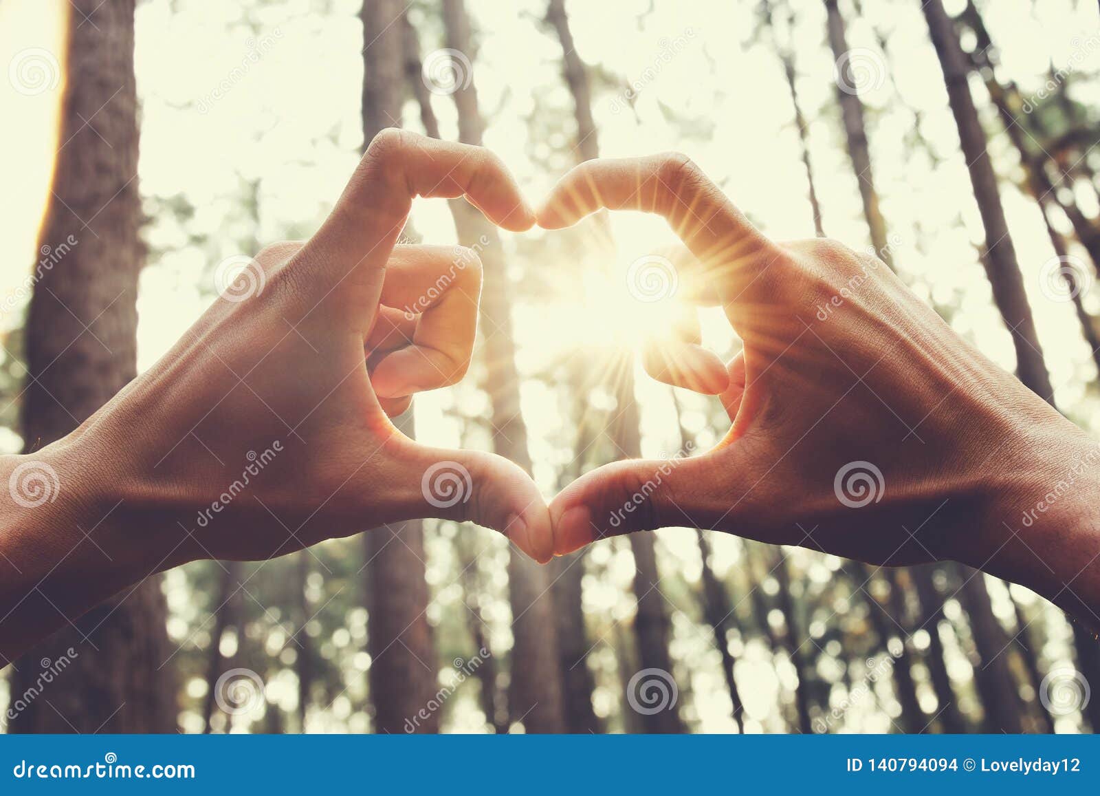 People Hand Hearts Shape with Sunshine Stock Photo - Image of hand ...