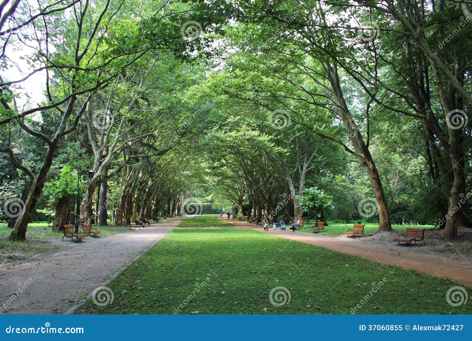 People Have a Rest in Park with Greater Trees Editorial Image - Image ...