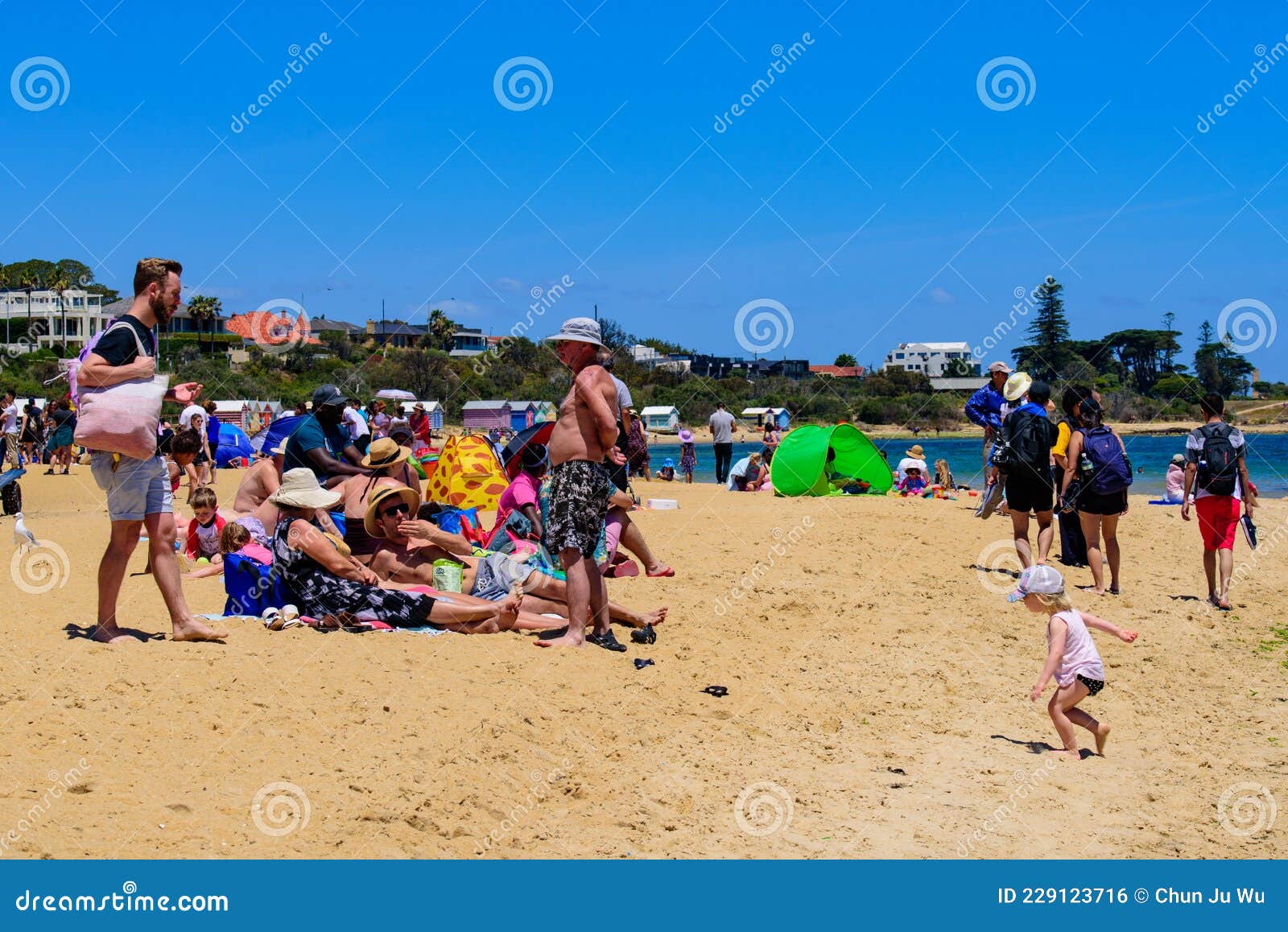 People Having Fun on the Brighton Beach in Melbourne, Victoria ...
