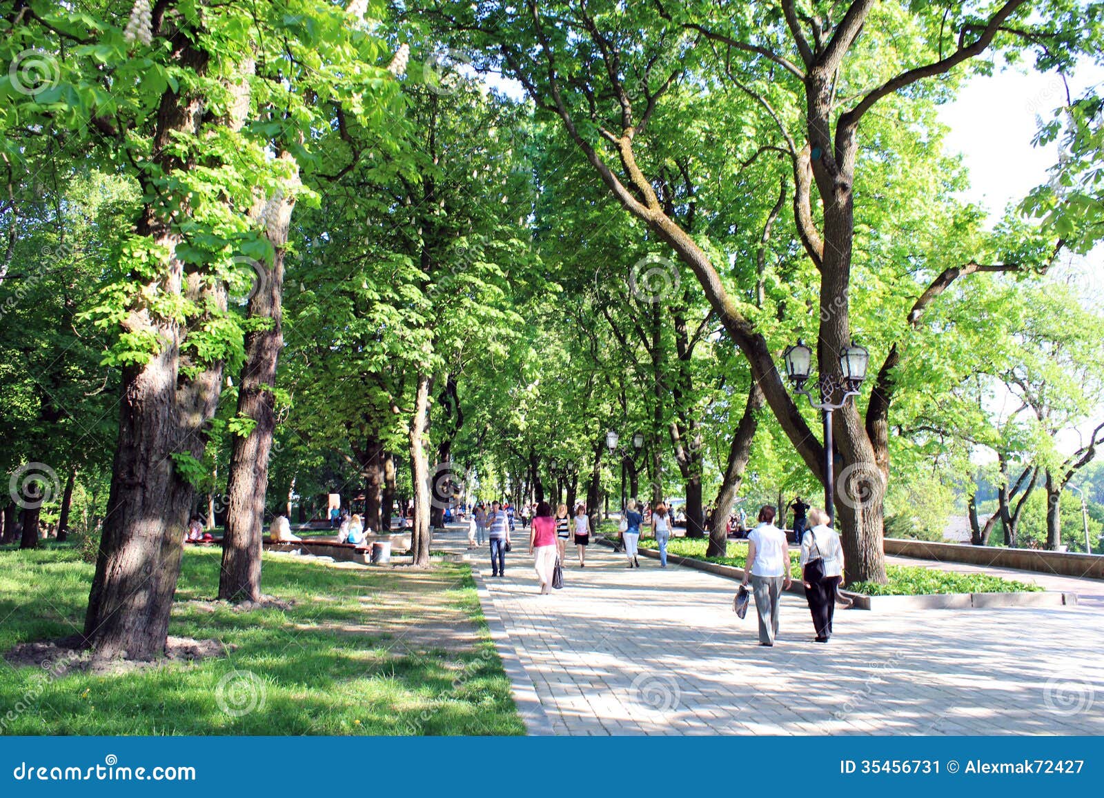 People Having a Rest in Park with Trees Editorial Photo - Image of ...