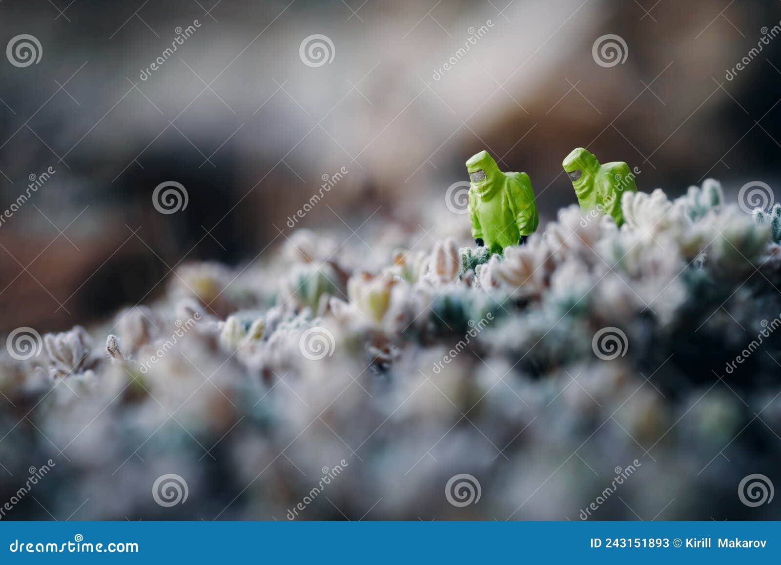 People in Hazmat Suits Analyzing a Contaminated Field. Environmental ...